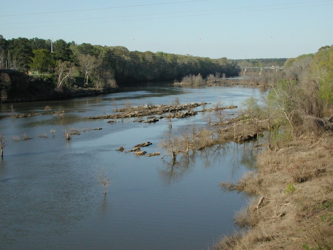 Community grant report: "Proposal to enhance public understanding of ...